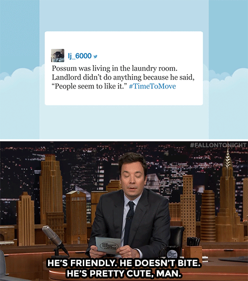 Twitter jimmy fallon tonight show GIF - Find on GIFER