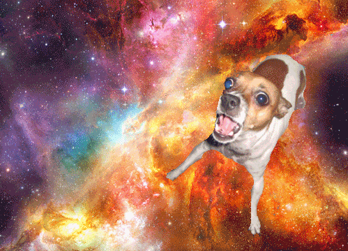 GIF doctor who eleven 11 - animated GIF on GIFER