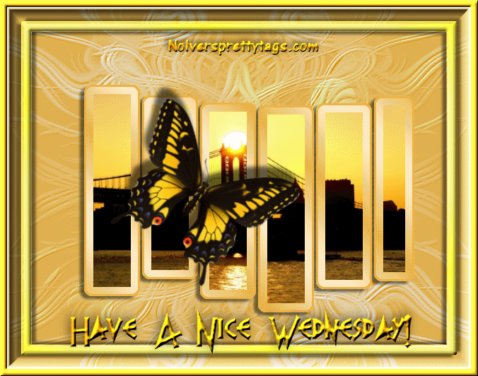 Nice GIF Find On GIFER nice-gif-find-on-gifer