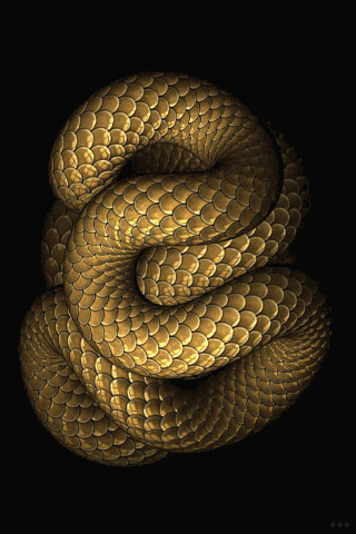 Snake animal GIF - Find on GIFER