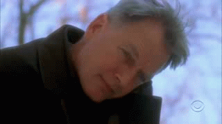 Ncis GIF - Find on GIFER