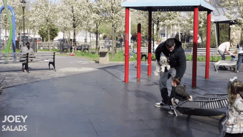 Fight GIF - Find on GIFER