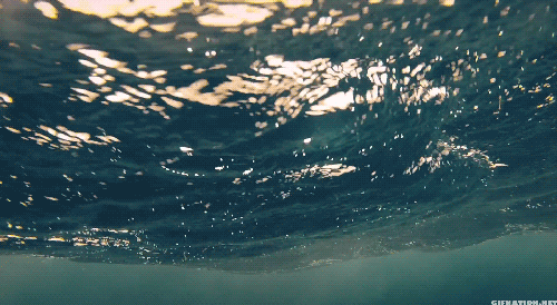 Water underwater summer GIF - Find on GIFER