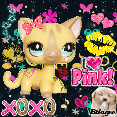 GIF blingee - animated GIF on GIFER