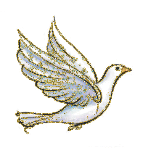 Dove GIF - Find on GIFER