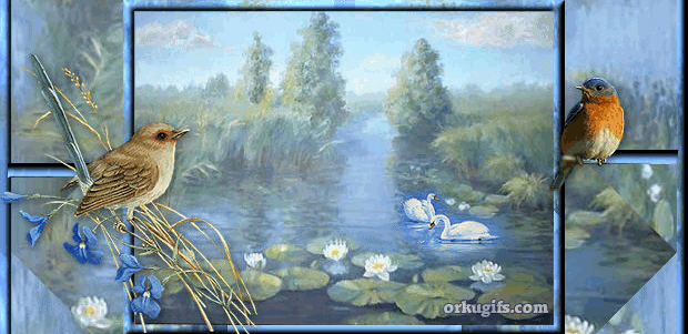 GIF nature - animated GIF on GIFER