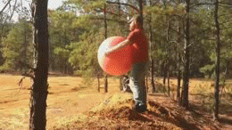 Man ball bounce GIF - Find on GIFER