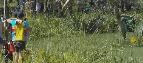 Red bull racing GIF - Find on GIFER