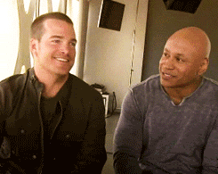 Ncis GIF - Find on GIFER
