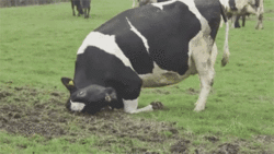 Tripping GIF - Find on GIFER