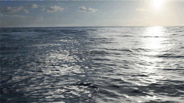 Life GIF - Find on GIFER