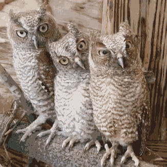 Math class GIF - Find on GIFER