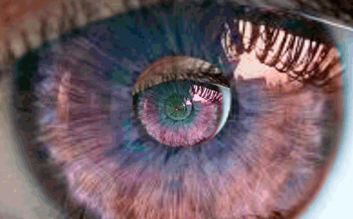 GIF loop - animated GIF on GIFER