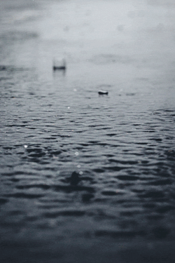 Rain weather photography GIF on GIFER - by Analmeena