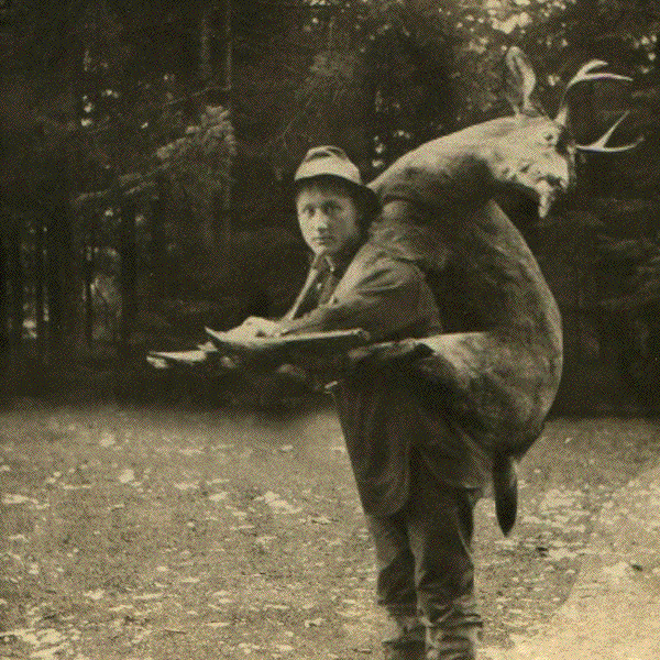 Attempt GIF - Find on GIFER