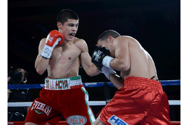 Boxing GIF - Find on GIFER