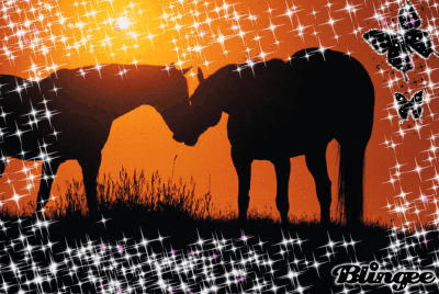Sunset GIF - Find on GIFER