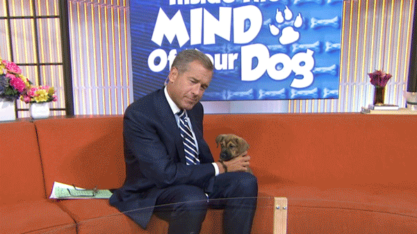 Dogs rescue GIF - Find on GIFER