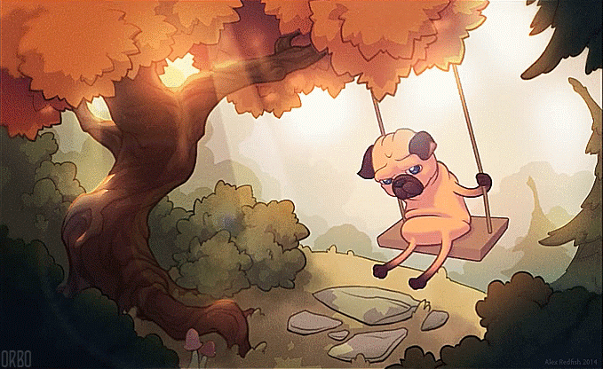 Pug loop GIF - Find on GIFER