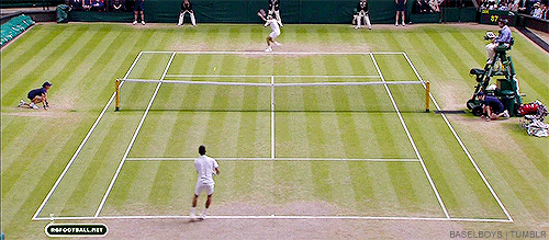 Tennis wimbledon roger federer GIF - Find on GIFER