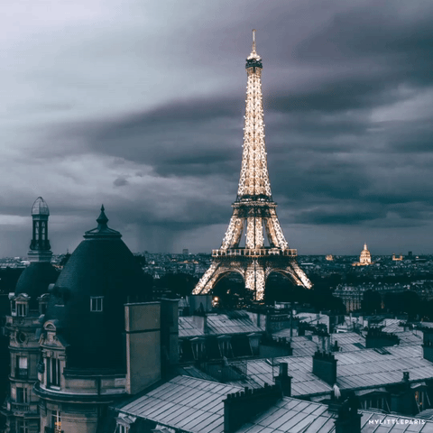 Paris night tour eiffel GIF on GIFER - by Nalmerius