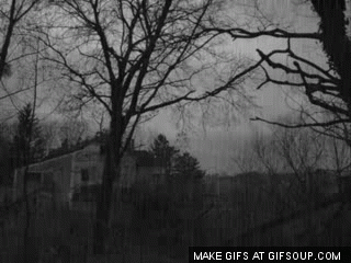 Scene GIF - Find on GIFER