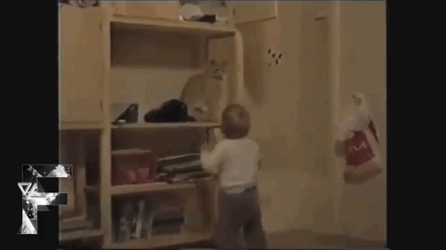 GIF thing - animated GIF on GIFER