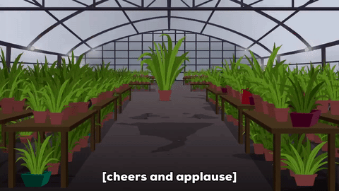 Plants excited cheering GIF on GIFER - by Bloodray
