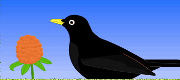 Seed dispersalpicture plants GIF on GIFER - by Telkis