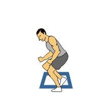 GIF training session - animated GIF on GIFER