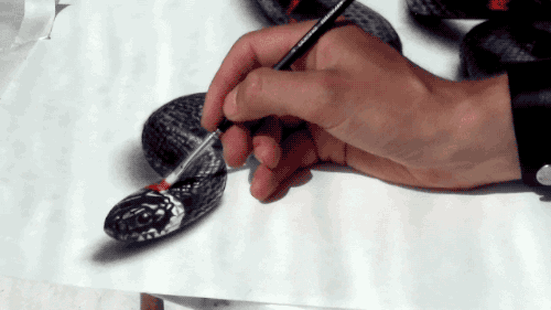 Snake GIF - Find on GIFER