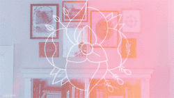 GIF to the wonder - animated GIF on GIFER