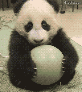 Ball GIF - Find on GIFER