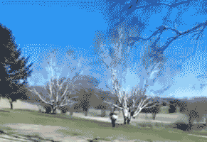 Ball bounce GIF - Find on GIFER
