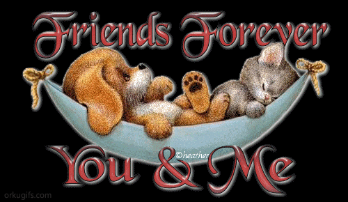 Friends GIF - Find on GIFER