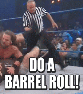 Do A Barrel Roll Gif