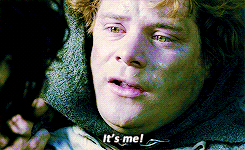 GIF sam the lord of the rings frodo - animated GIF on GIFER