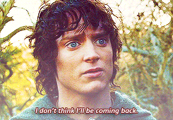GIF sam the lord of the rings frodo - animated GIF on GIFER