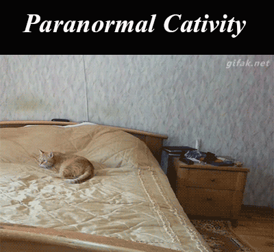 GIF paranormal activity - animated GIF on GIFER