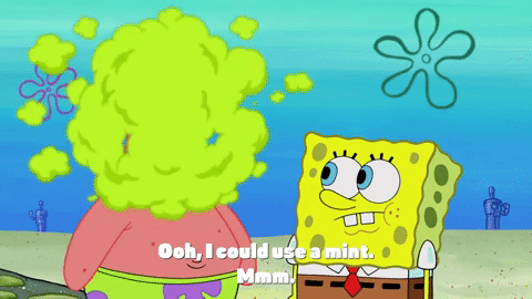 The fish bowl spongebob squarepants season 9 GIF - Find on GIFER