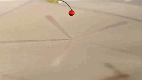 Biology GIF on GIFER - by Nilhala