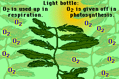 Biology GIF on GIFER - by Mazulmaran