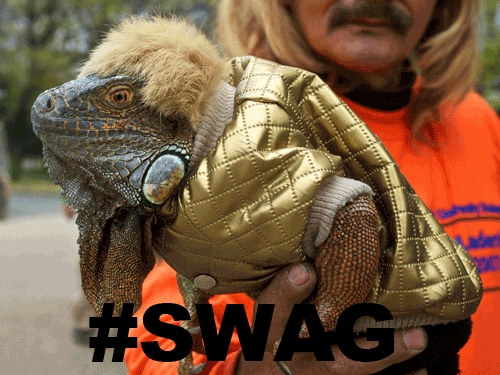 Swag GIF - Find on GIFER