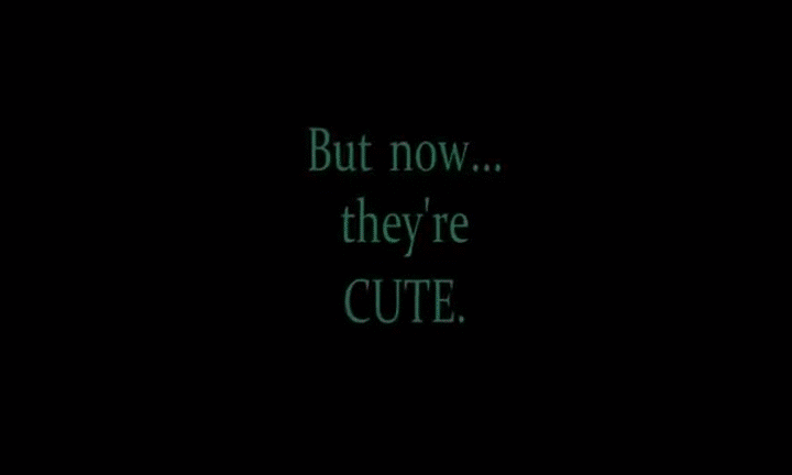 Teaser GIF - Find on GIFER