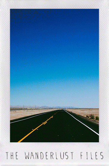 Coachella 2015 GIF - Find on GIFER