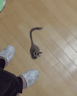 People GIF - Find on GIFER