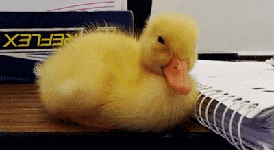 Tired GIF - Find on GIFER