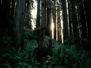 The tree of life GIF - Find on GIFER