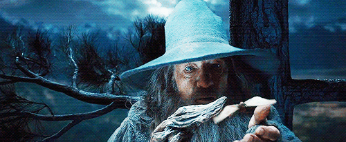 GIF gandalf - animated GIF on GIFER
