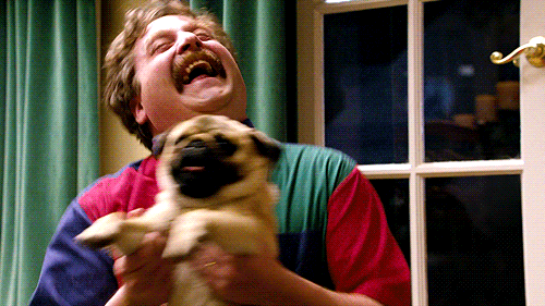 Get talk im GIF - Find on GIFER